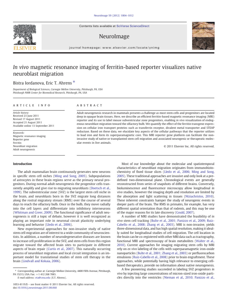 In Vivo Magnetic Resonance Imaging of Ferritin-Based Reporter ...