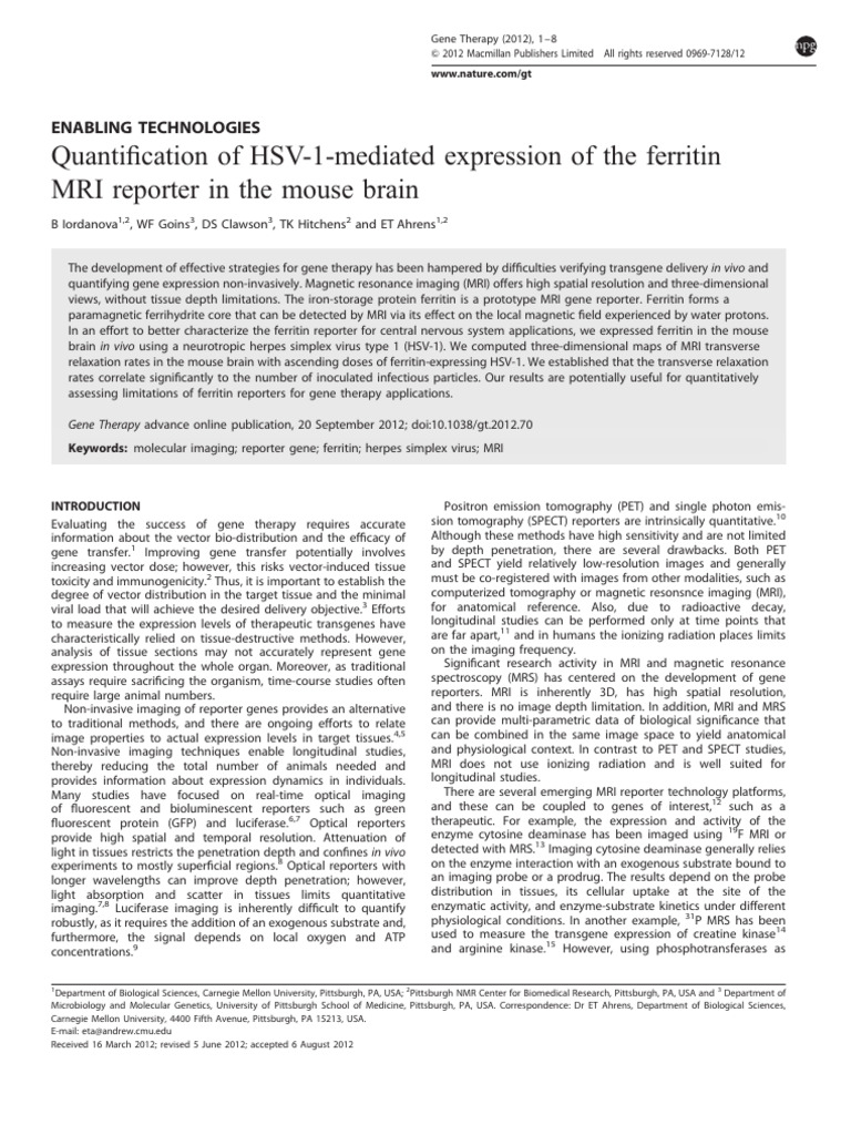MRI-Based Ferritin Gene Reporter in Mice | PDF | Medical Imaging ...
