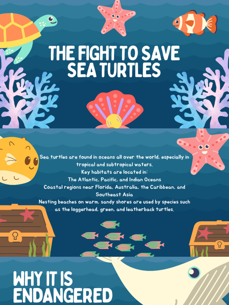 Blue Colorful Sea Presentation PDF | PDF | Sea Turtle | Turtle