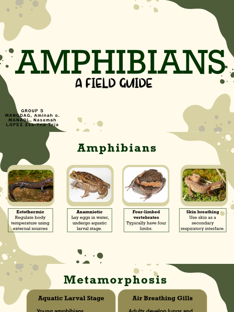 Amphibian Biology and Sampling Methods | PDF | Amphibian | Frog