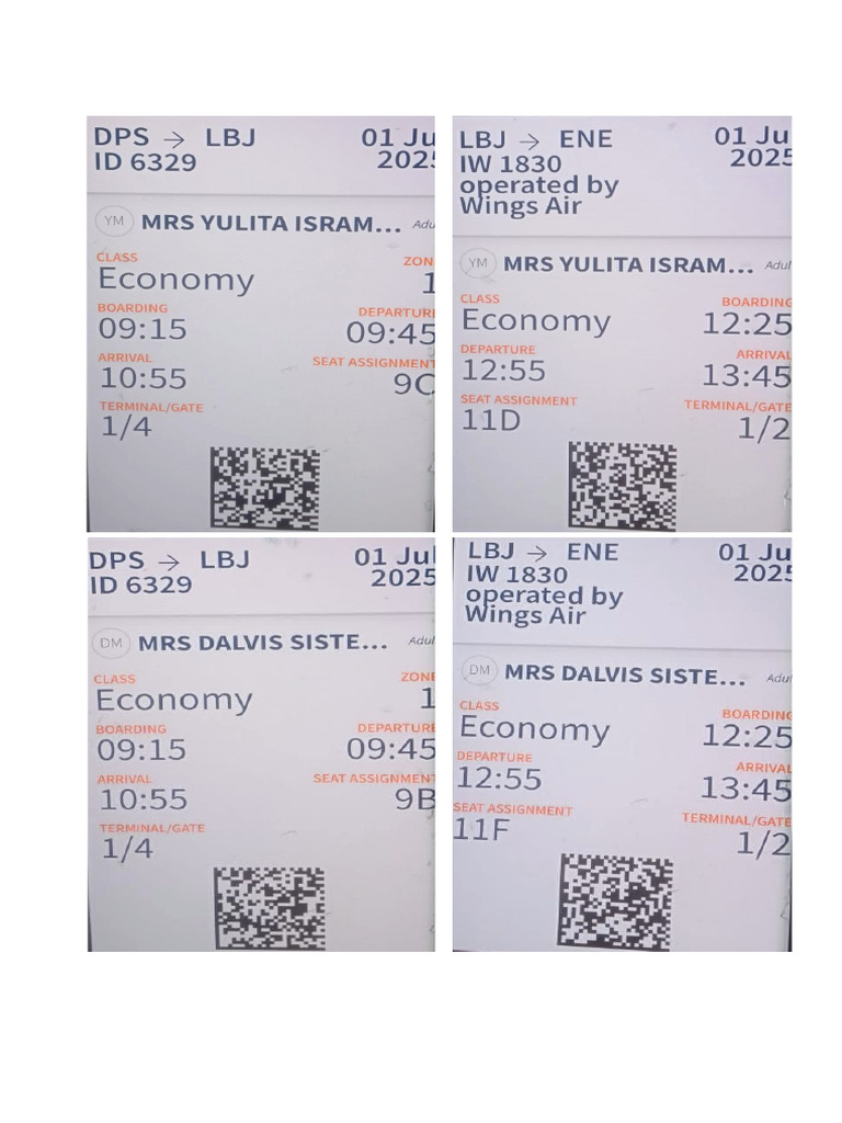 Boarding Pass Mika | PDF