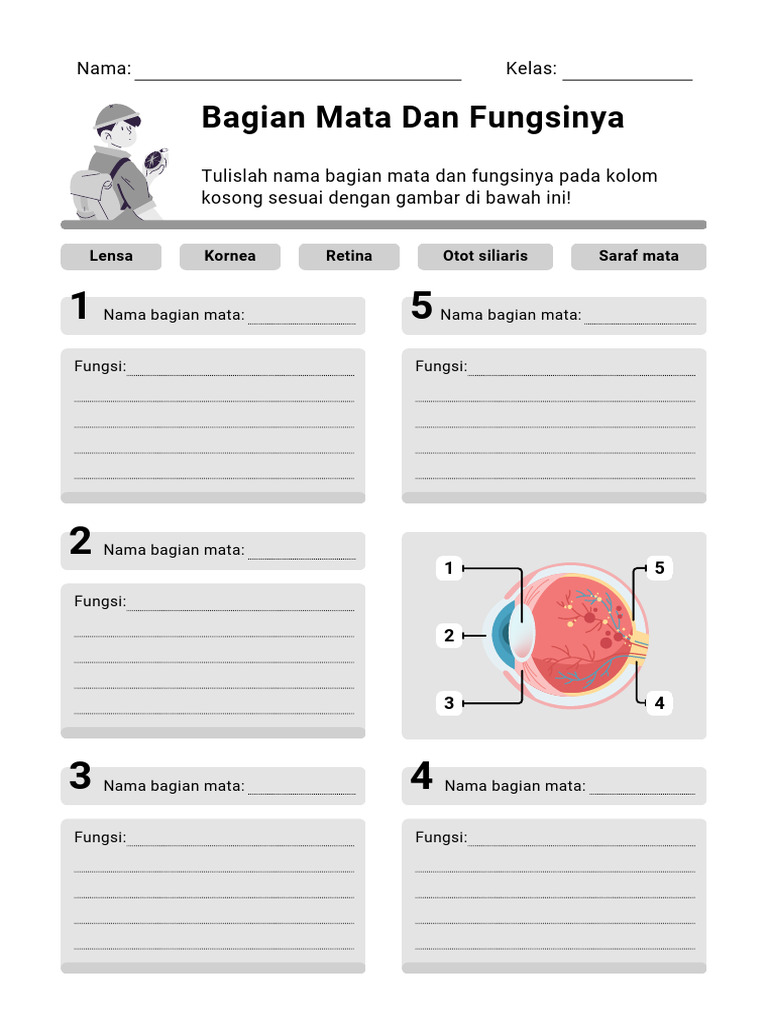 Bagian Mata Dalam Lembar Kerja Pendidikan IPAS Kuning Biru Ilustrasi | PDF