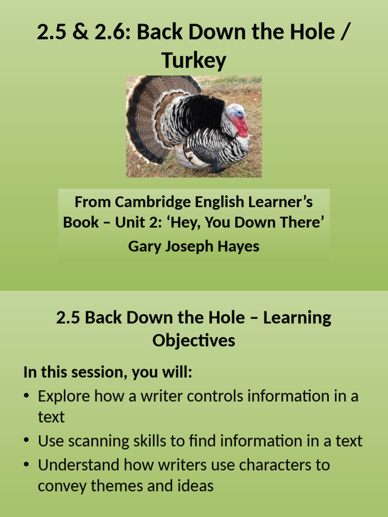 Hey You Down There Back Down The Hole Turkey | PDF | Learning