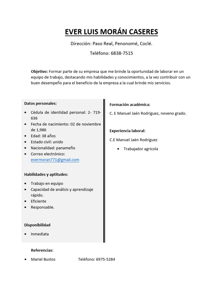 Currículum de Ever Luis Morán Caseres | PDF