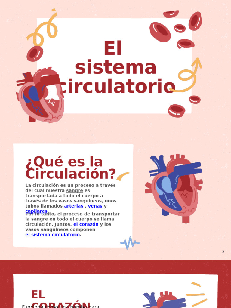 Presentación Educativa Del Sistema Circulatorio Estilo Dibujado A Mano ...