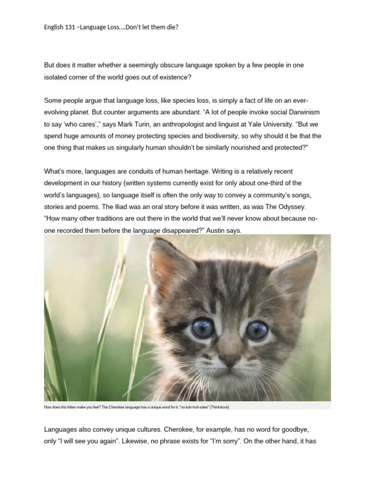 Language Loss Don't Let Them Die | PDF | English Language | Grammatical ...
