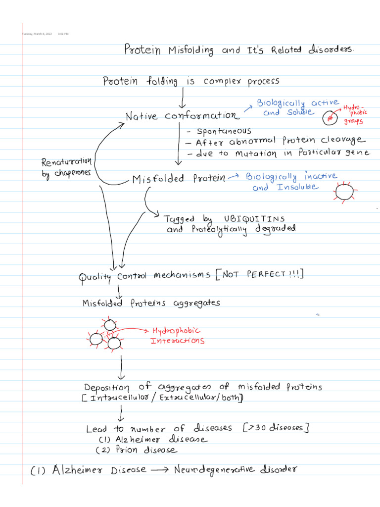 Protein Misfolding and It's Related Disorders | PDF