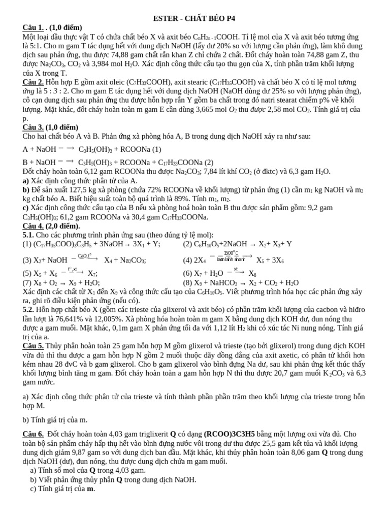 Chat Beo Hs | PDF