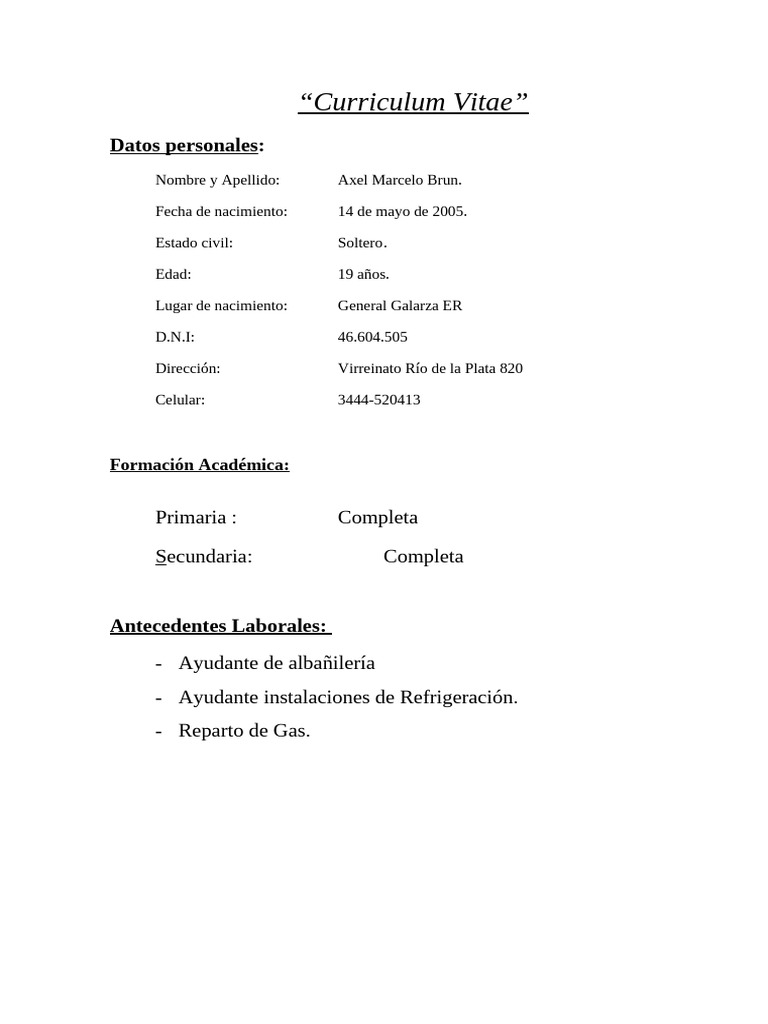 CV Axel Brun | PDF