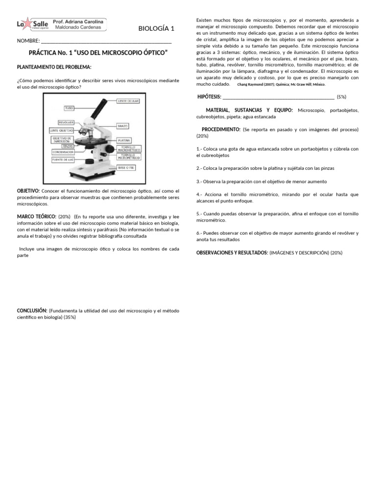Práctica Uso Del Microscopio | PDF | Microscopio | Óptica