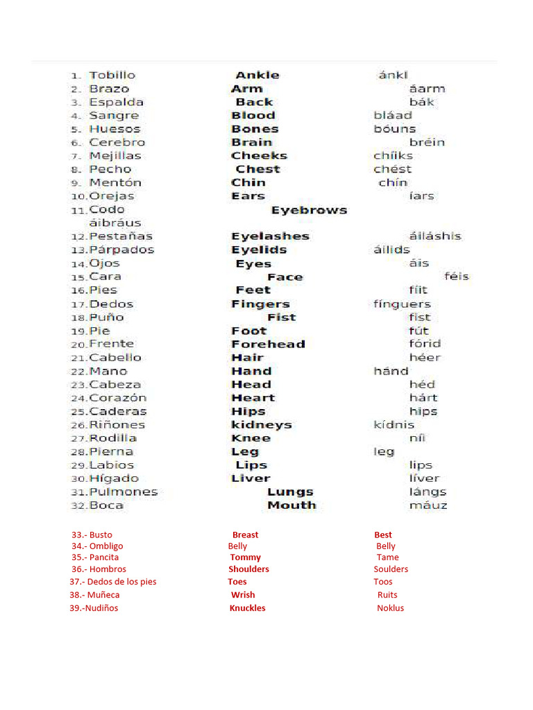 Vocabulary Body Parts | PDF