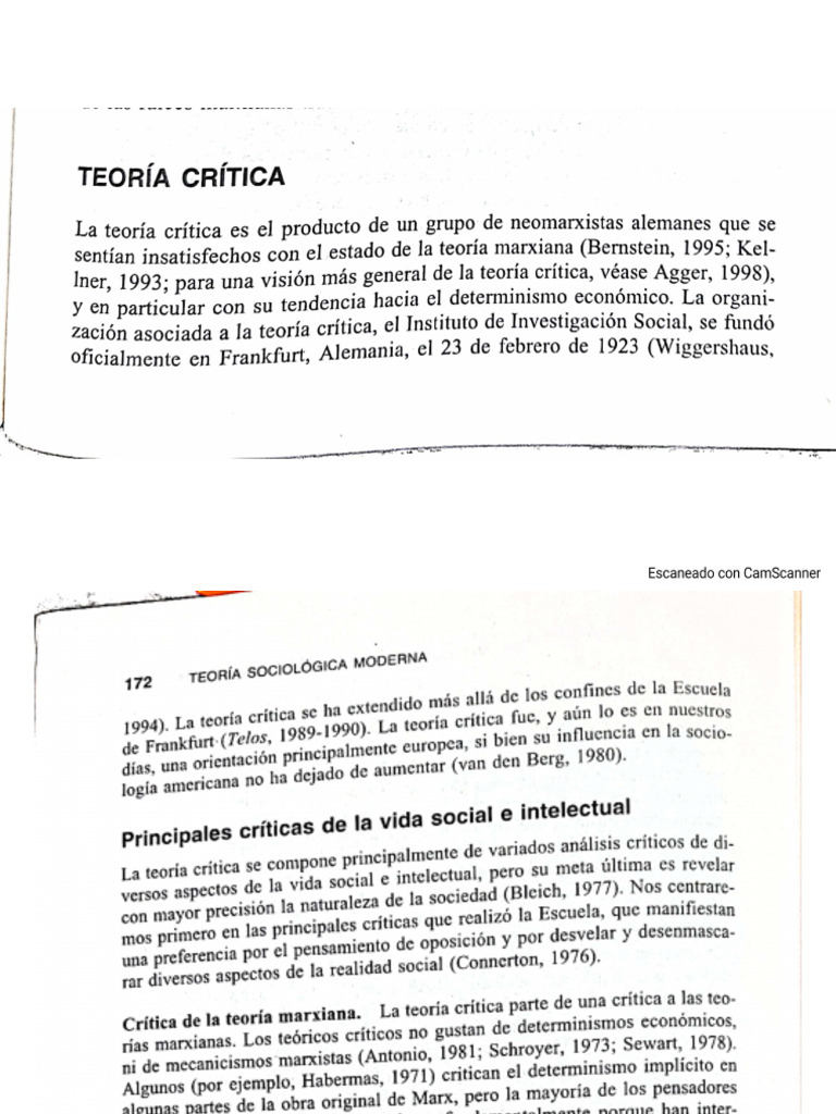 Teoría Crítica | PDF