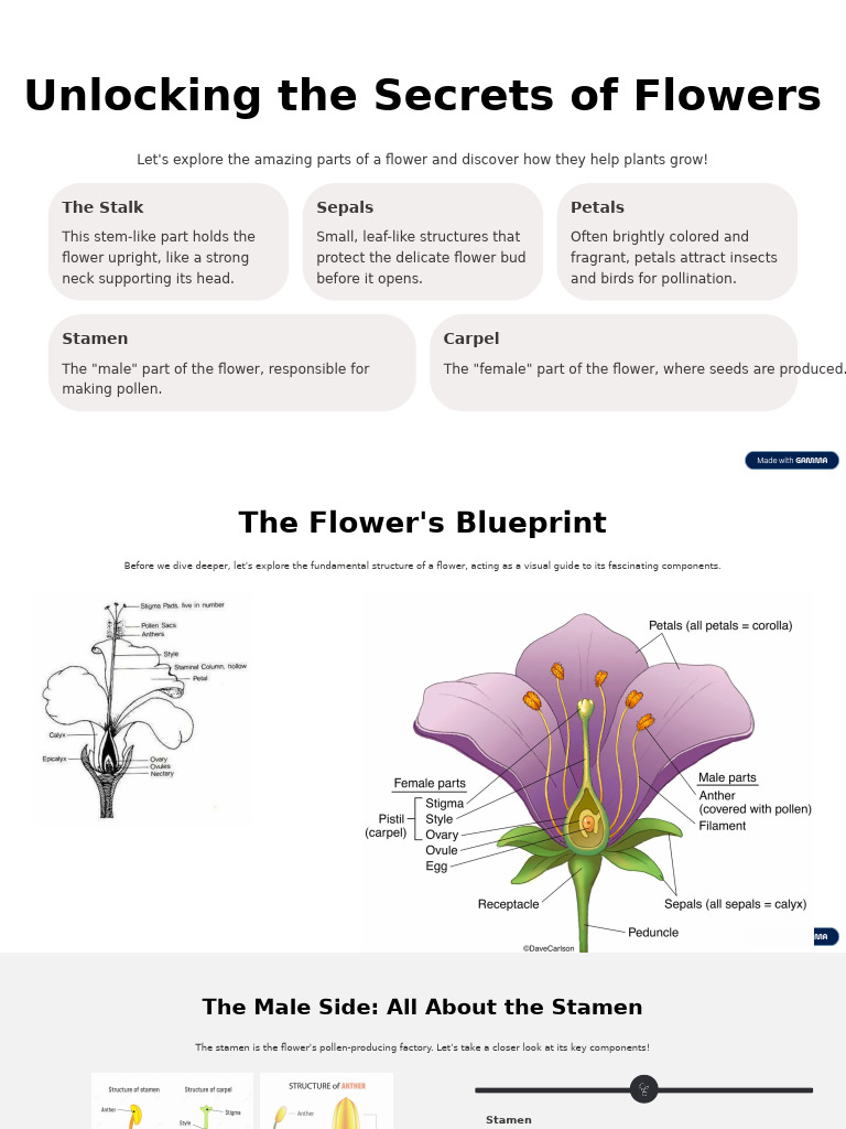 Unlocking The Secrets of Flowers | PDF | Flowers | Horticulture