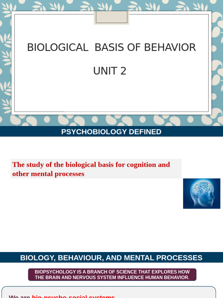Introduction To Psychology Chapter 2 | PDF | Neuron | Synapse