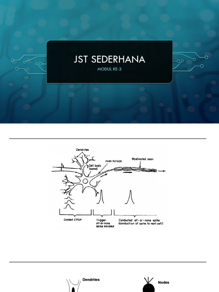 Pembelajaran Jaringan Syaraf Tiruan | PDF