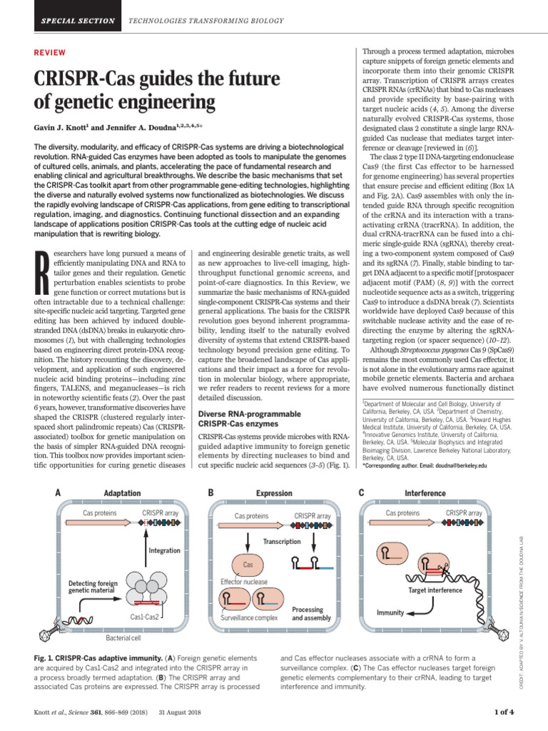 CRISPR-Cas: Revolutionizing Genetic Engineering | PDF | Crispr ...