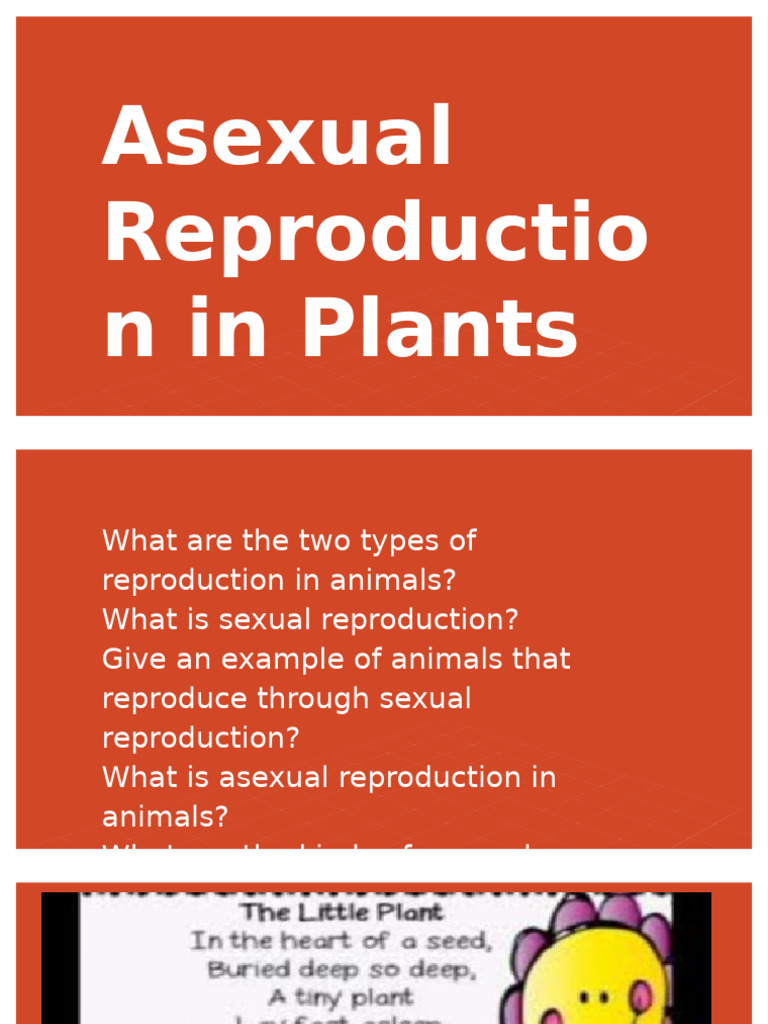 Asexual Reproduction in Plants | PDF | Reproduction