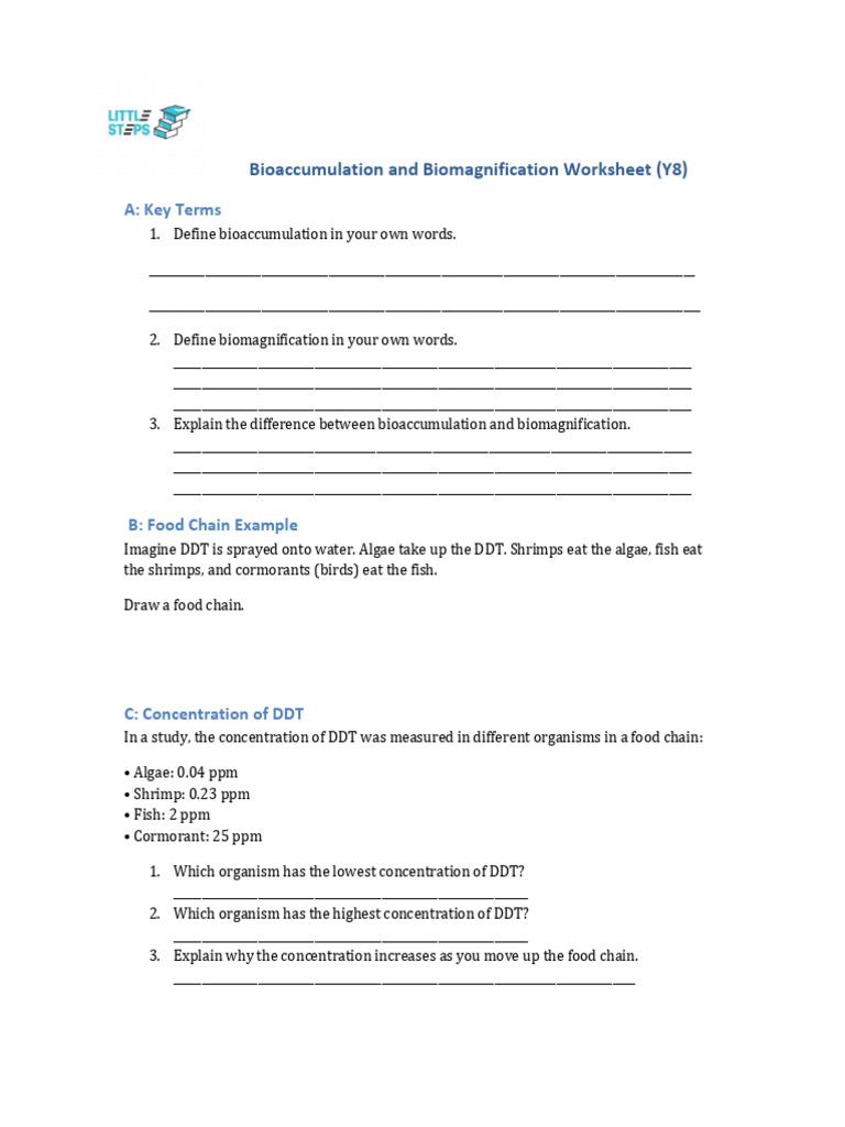Bioaccumulation and Biomagnification Worksheet | PDF