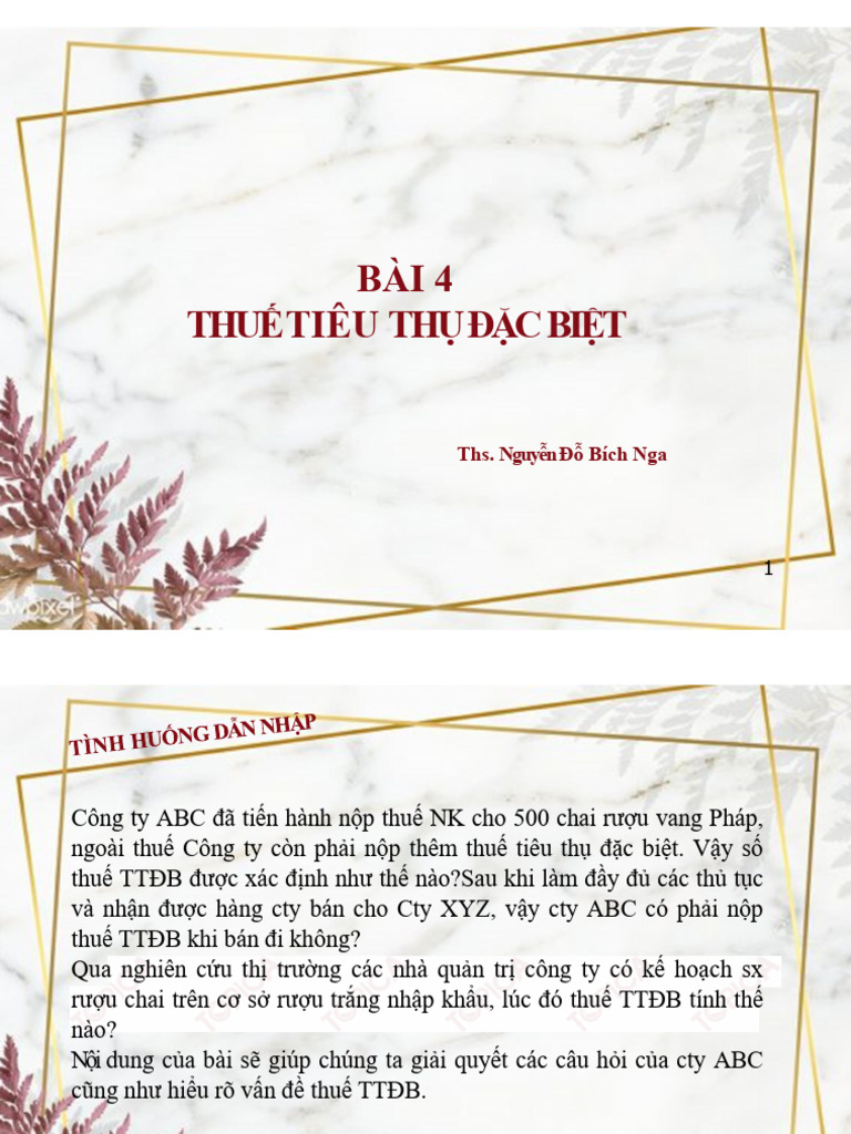 Bài 3-Thue Tieu Thu Dac Biet Slide SV | PDF