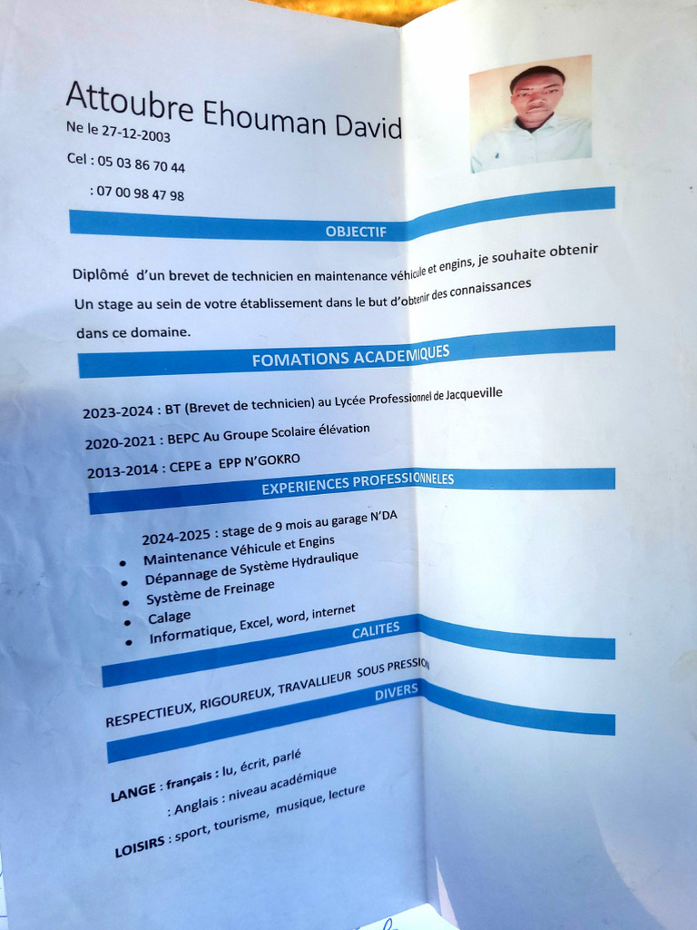 CV David | PDF