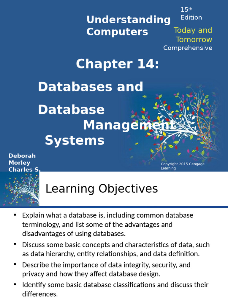 Chapter Database Management Systems | PDF | Databases | Relational Database