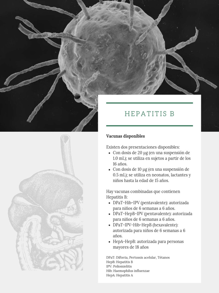 Prevención y Tratamiento de Hepatitis B | PDF | Hepatitis | Hepatitis B