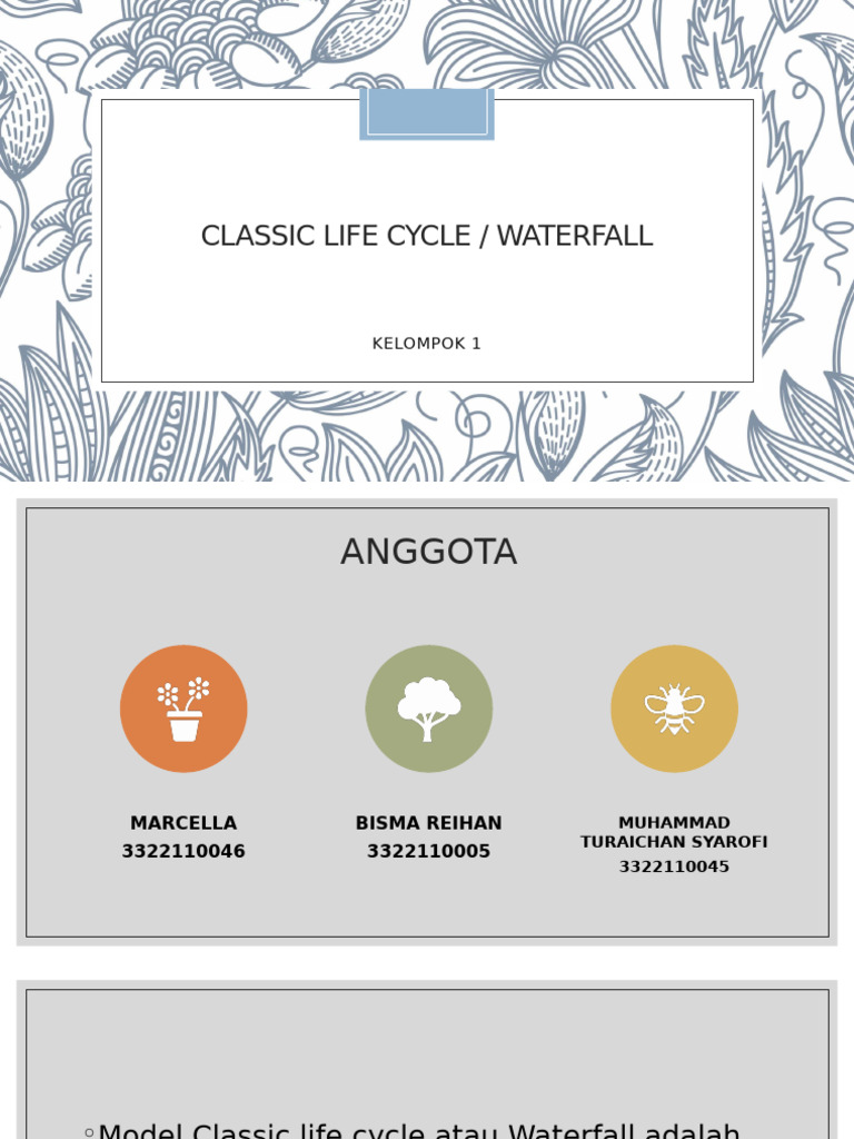 Classic Life Cycle Waterfall | PDF