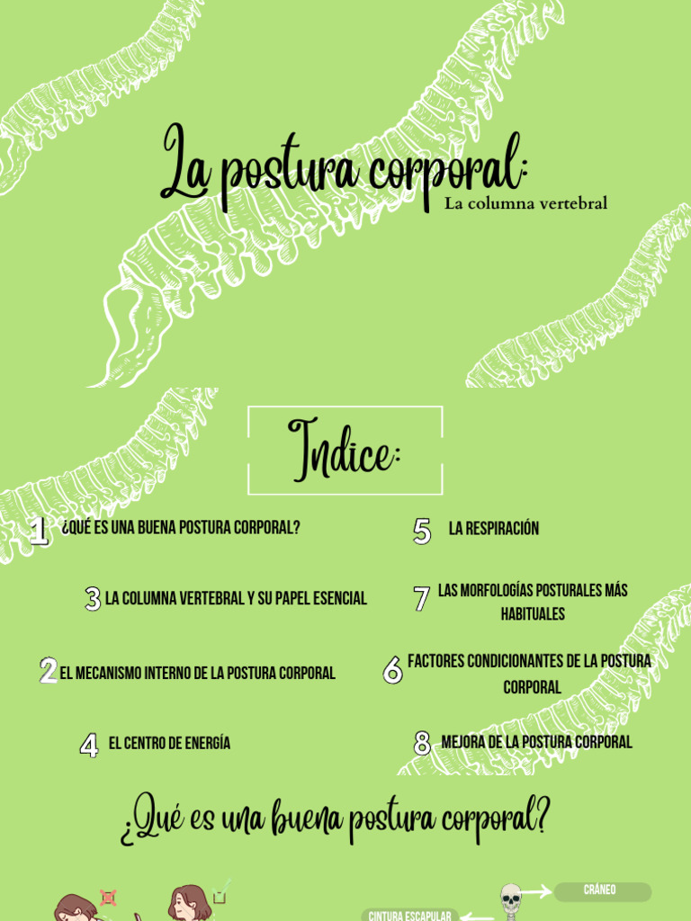 La Postura Corporal | PDF | Sistema musculoesquelético | Sistema esquelético