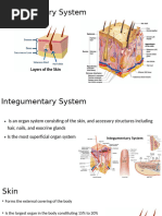 Skin Chemical Composition Overview | PDF | Epidermis | Skin