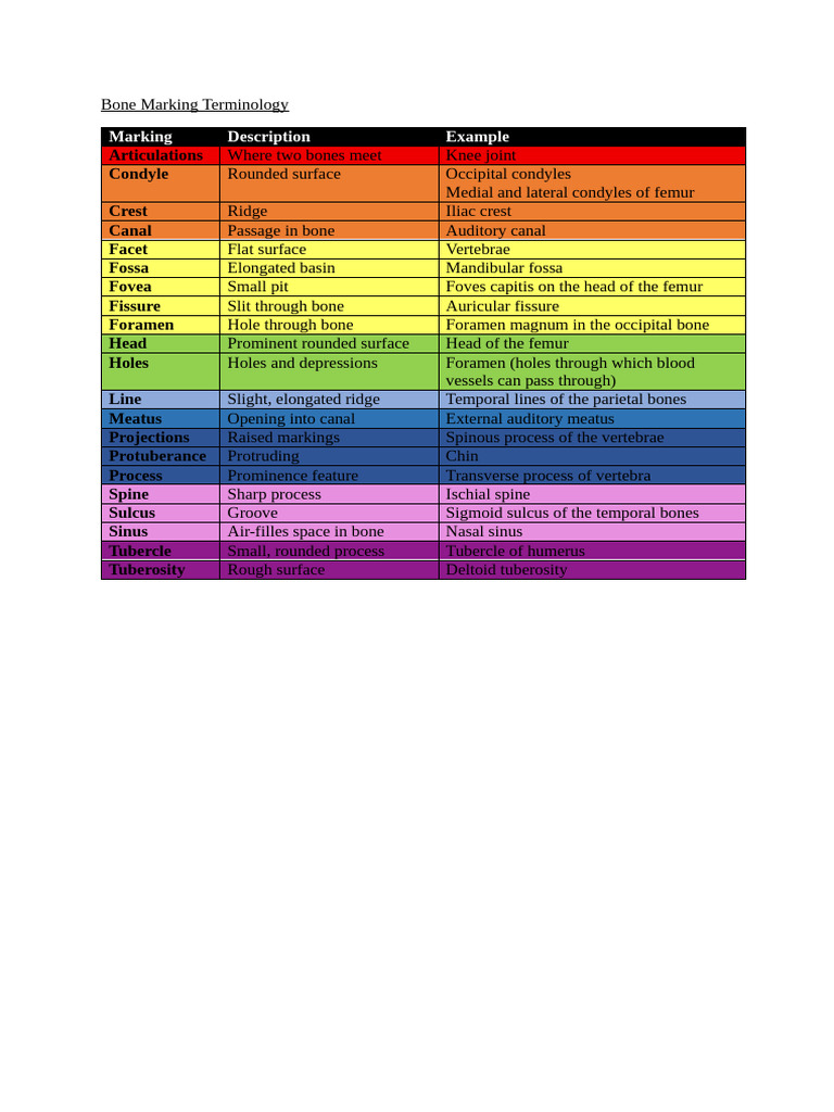 Bone Marking Terminology | PDF