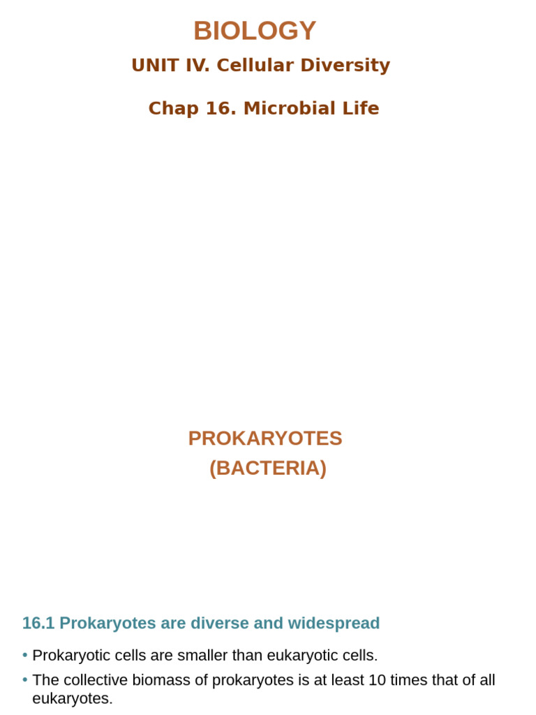 Prokaryotes: Diversity and Impact | PDF | Prokaryote | Bacteria