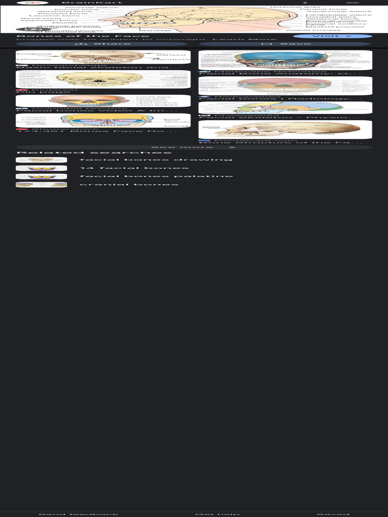 Searchq Different+Bone+Joints+on+Face&Sca Esv 1eda6e0add178775&rlz ...