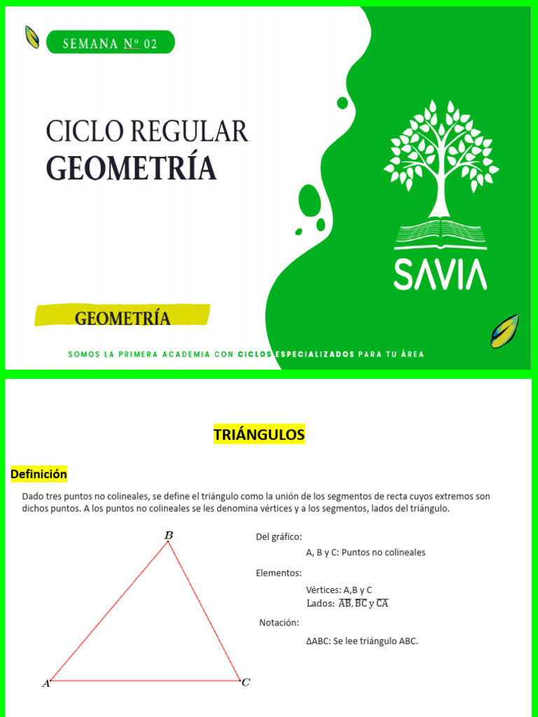 Elementos y Clasificación de Triángulos | PDF | Triángulo | Ángulo