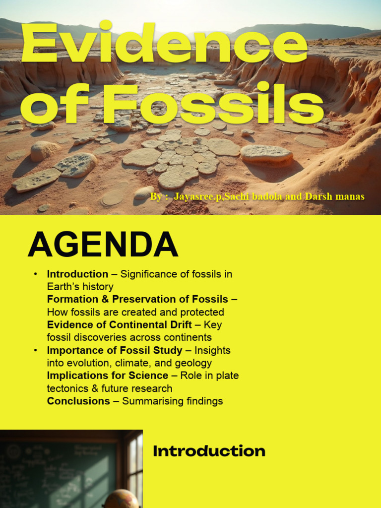 Evidence of Fossils | PDF | Paleontology | Fossil