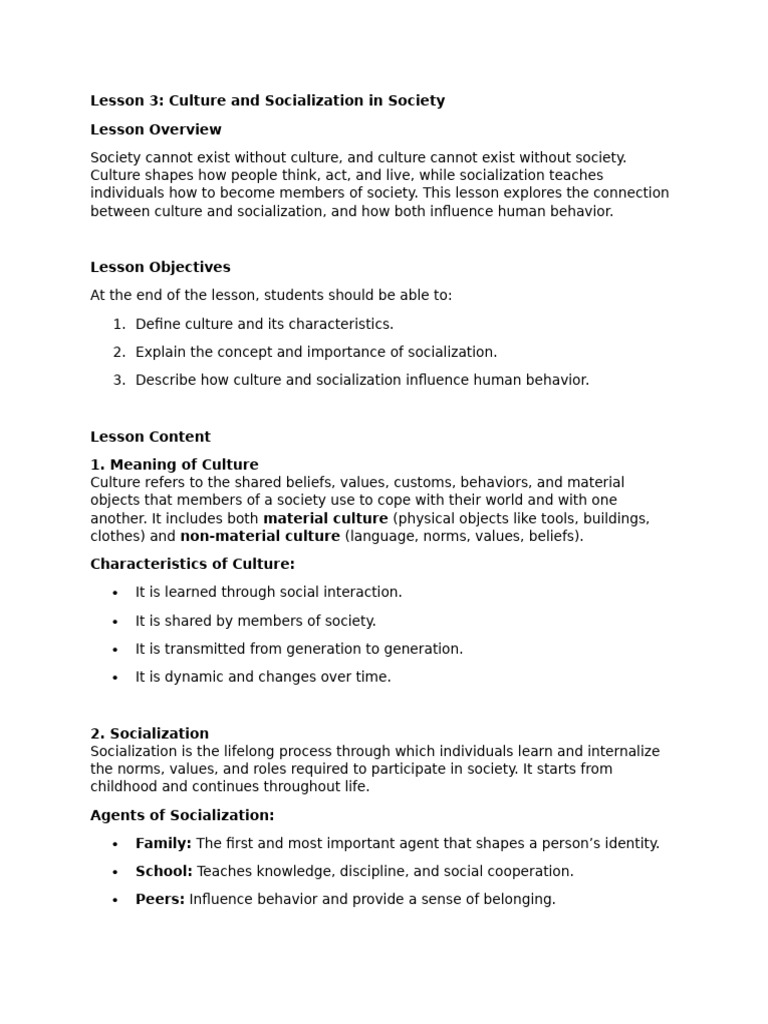 Lesson 3 - Culture and Socialization in Society | PDF