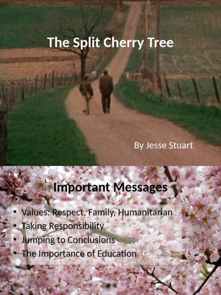 The Split Cherry Tree by Jesse Stuart - Presentation | PDF | Cognition