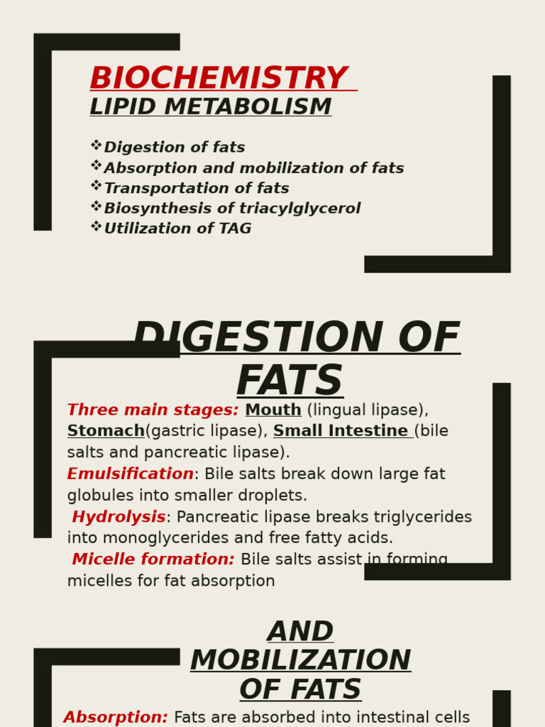 Digestion of Fat | PDF