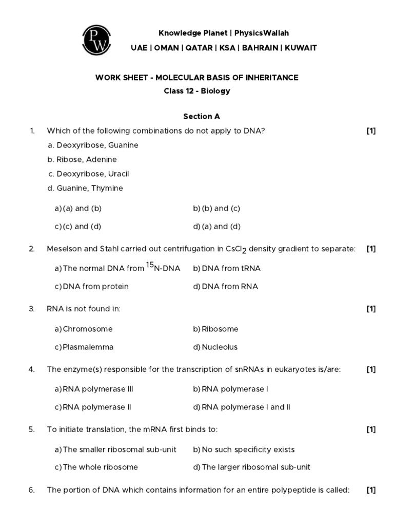 Molecular Basis of Inheritance | PDF | Rna | Translation (Biology)