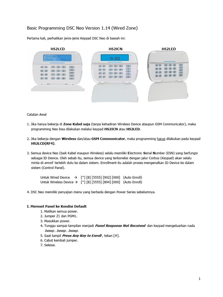 Basic Programming DSC IT (Wired) | PDF