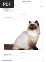 Wild Cat Species by Lineage List | PDF | Felidae | Panthera