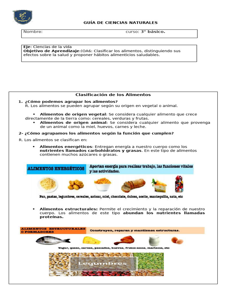 3º BÁSICOS Del 07 Al 25 de Septiembre CIENCIAS | PDF | Alimentos ...
