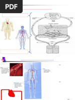 Gen-Payne Capsules: Uses and Dosage | PDF | Nonsteroidal Anti ...
