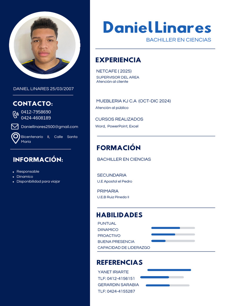 Currículum Vitae CV Daniel Linares | PDF