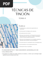 Colorantes Ácidos y Básicos en Histología | PDF | Técnicas de ...