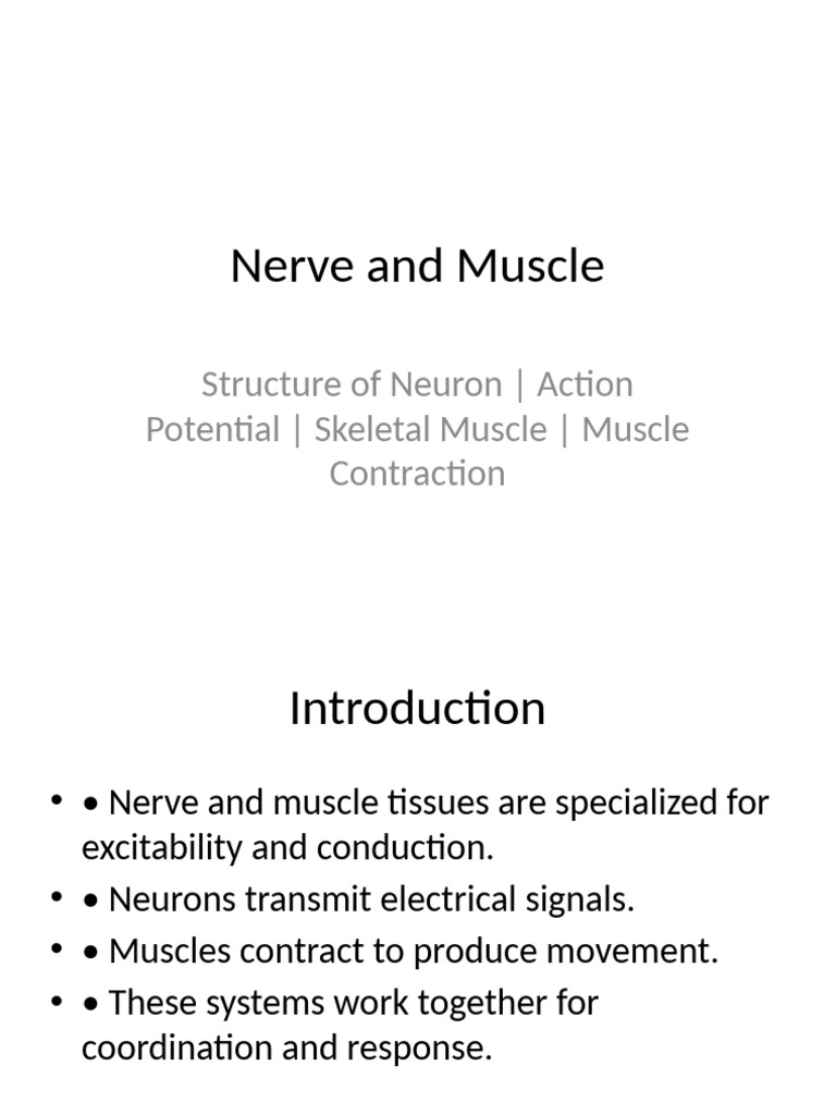 Nerve and Muscle 20 PPT | PDF | Muscle Contraction | Neuron