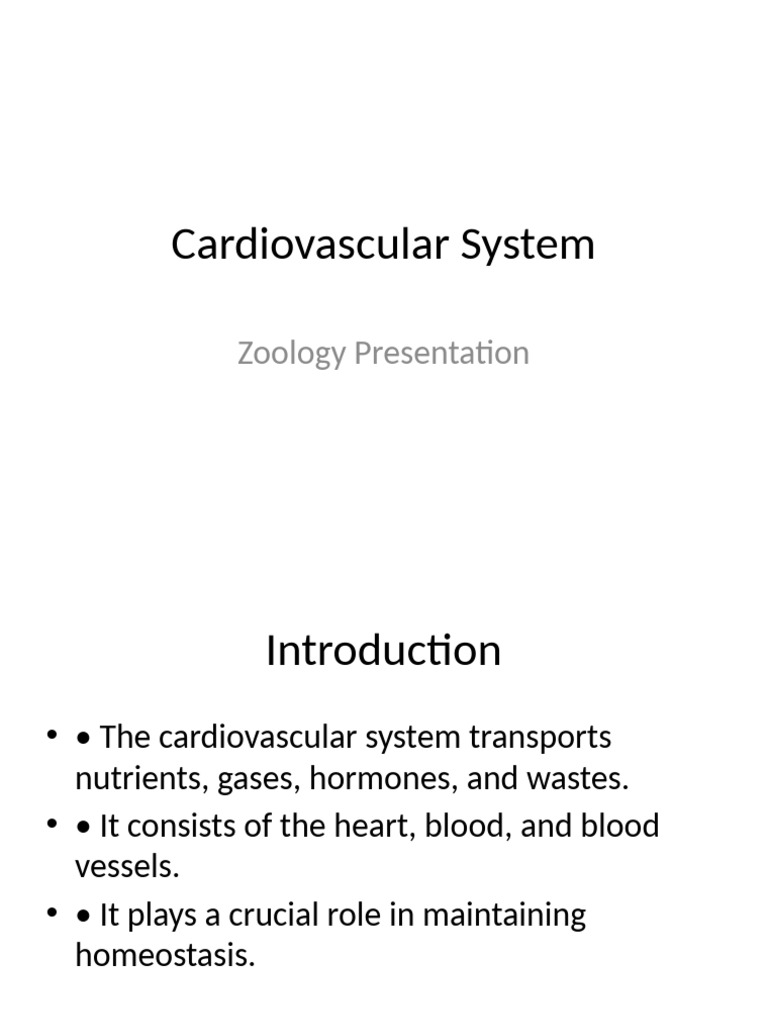 Cardiovascular System Presentation | PDF
