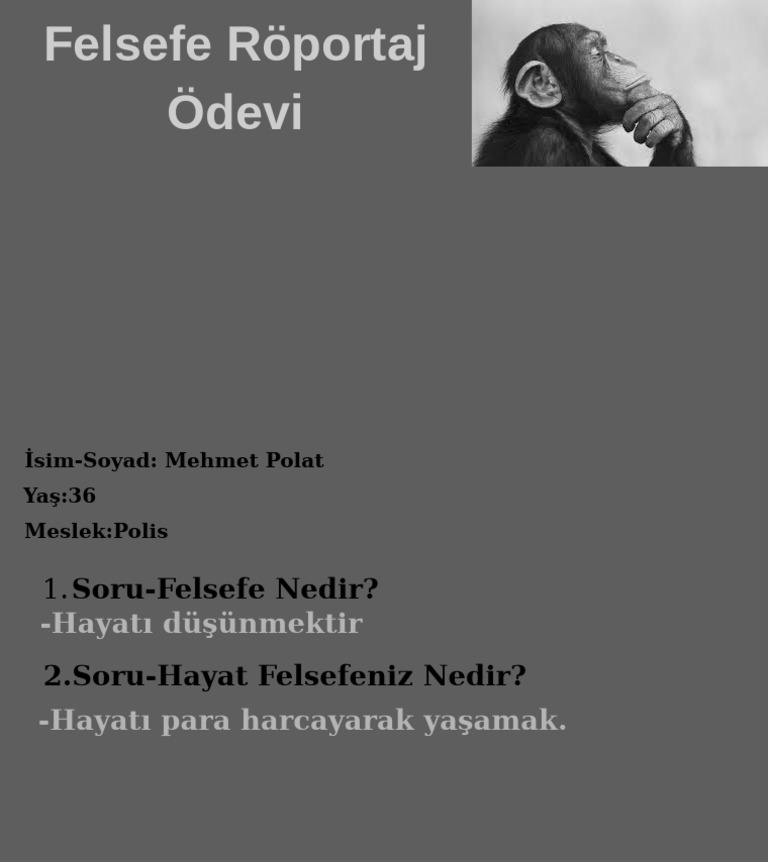 Felsefe R | PDF