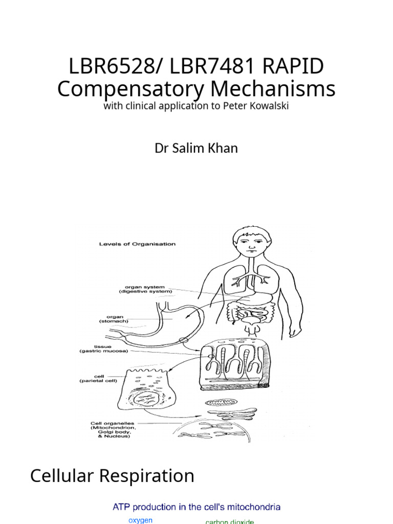 Rapid Compensatory Mechanisms Sep 25 (1) - Tagged | PDF | Alanine ...
