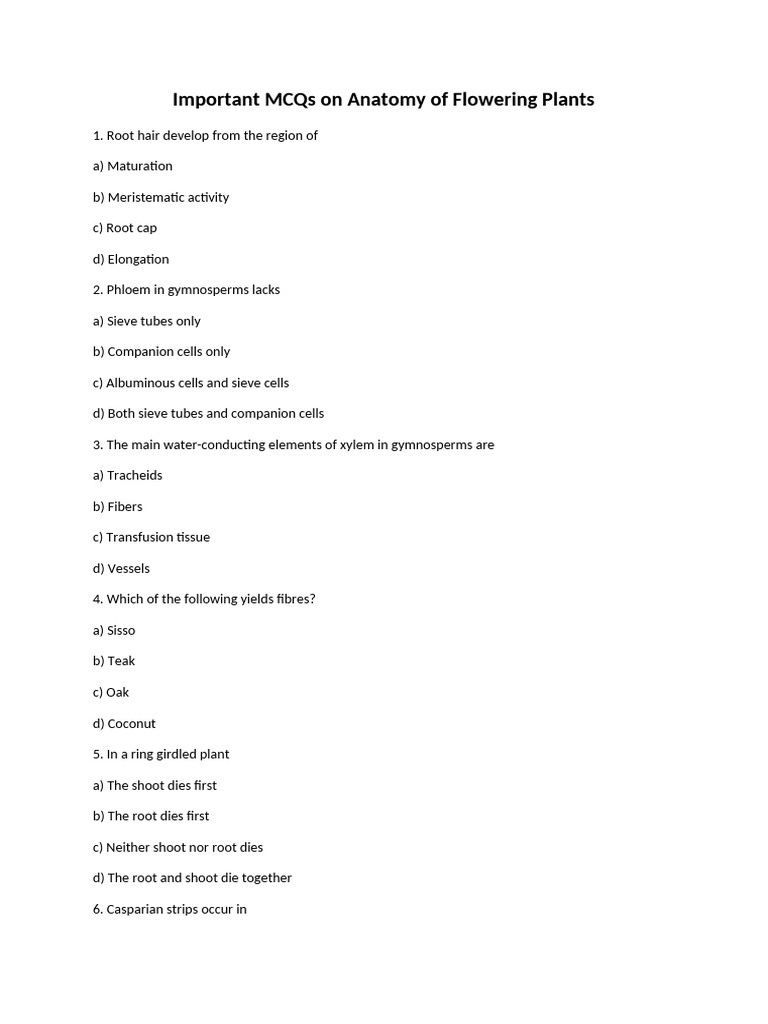 Key MCQs on Flowering Plant Anatomy | PDF | Plant Stem | Leaf