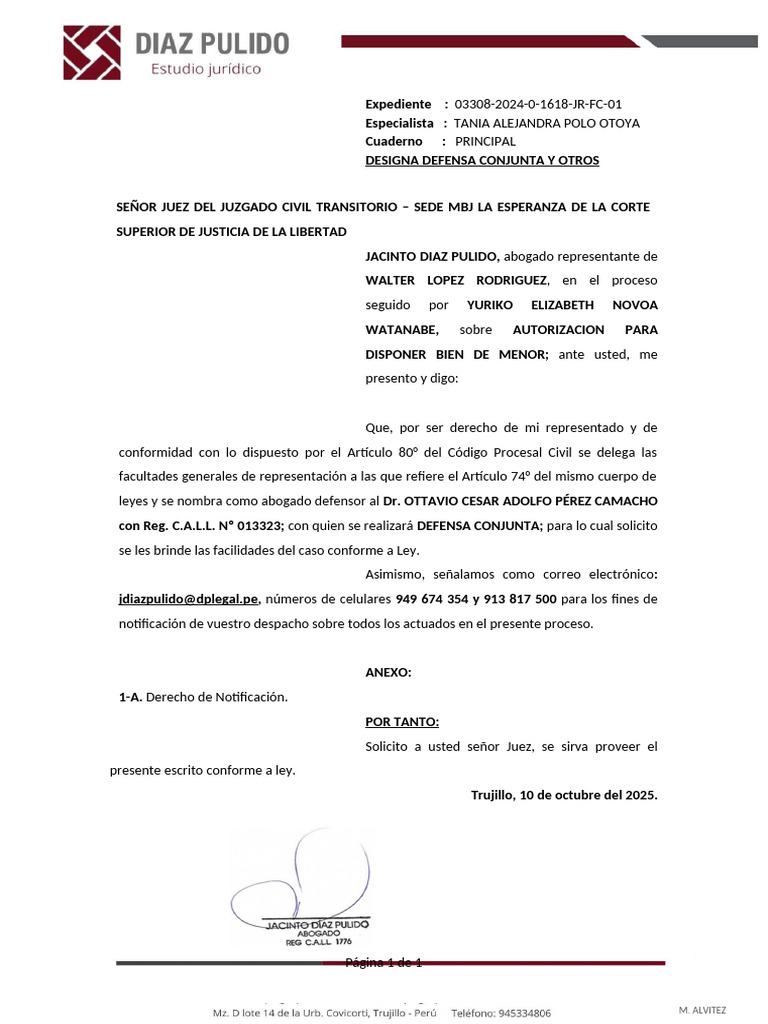 Exp. Defensa Conjunta y Otros | PDF